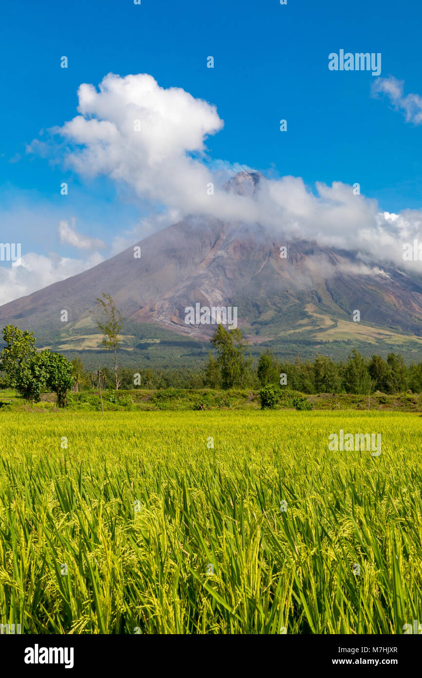 Mount Mayon Albay Philippines March 07, 2018 The Mayon Volcano, during ...