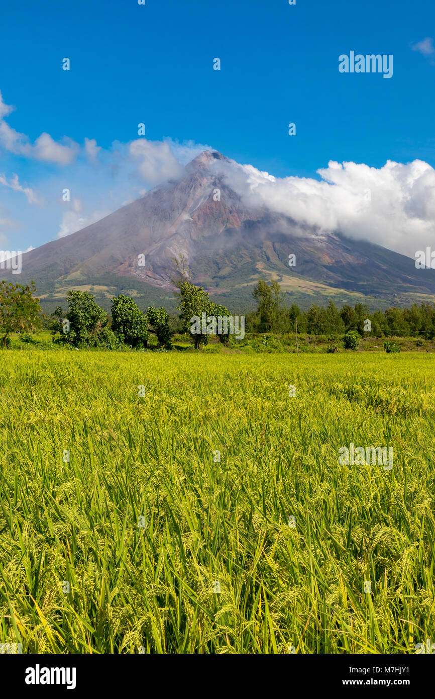 Mount Mayon Albay Philippines March 07, 2018 The Mayon Volcano, during ...