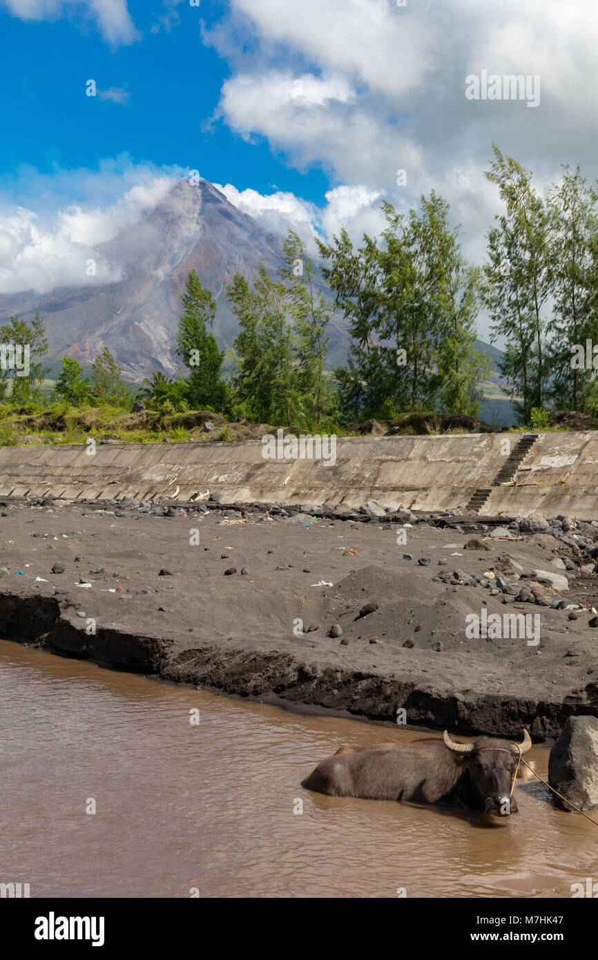 Mount Mayon Albay Philippines March 07, 2018 Dredging sand from the ...