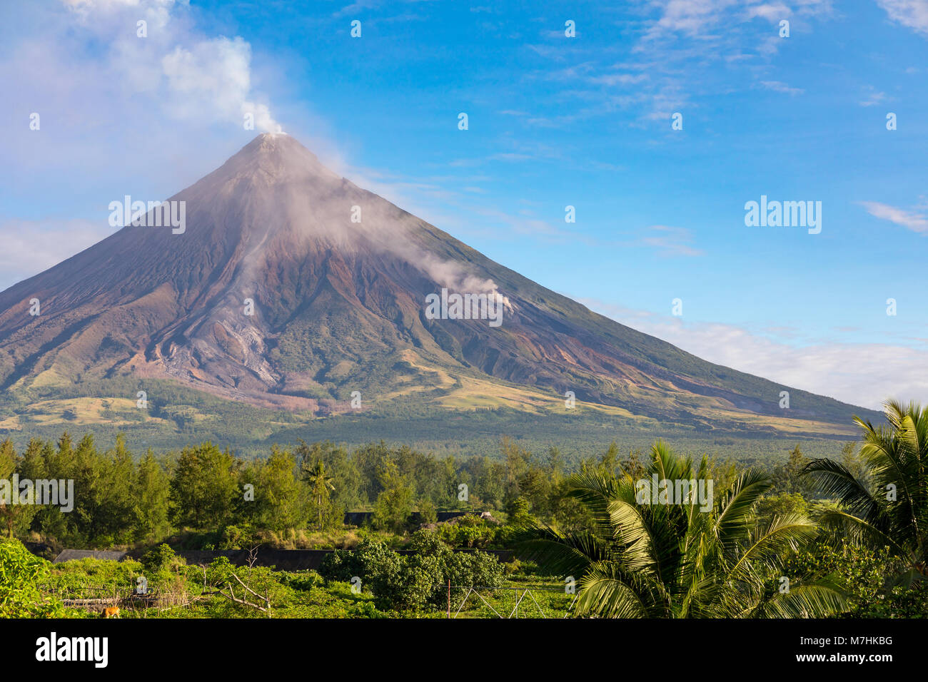 Mayon volcano eruption hi-res stock photography and images - Alamy