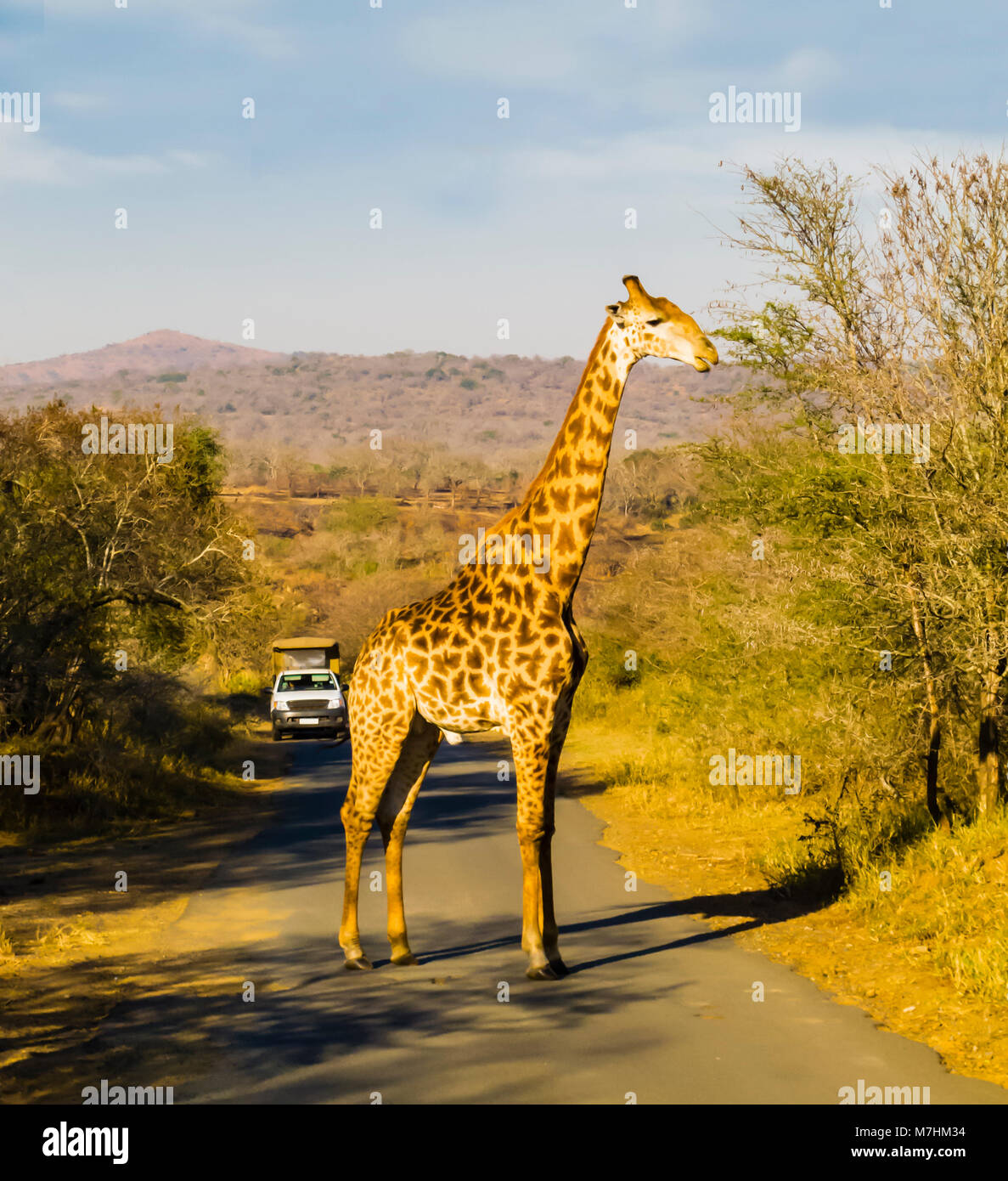 African game ranger hi-res stock photography and images - Alamy
