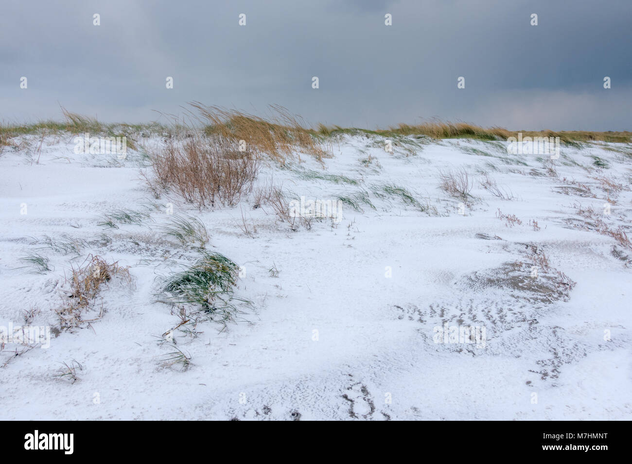 Winter on the beach in Ireland Stock Photo - Alamy