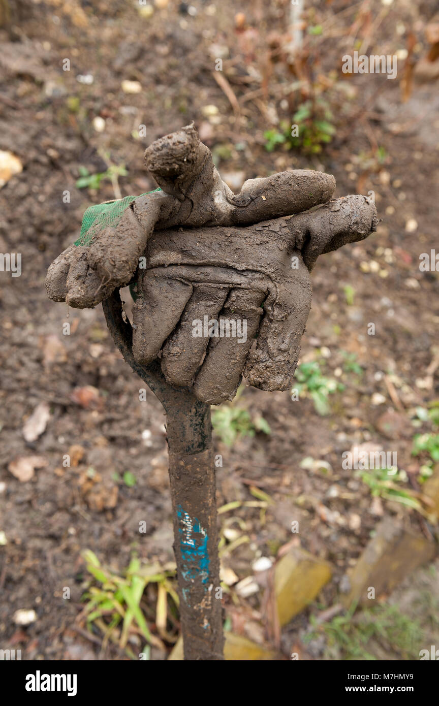 Consequences of gardening in extremely heavy loam clay soil, heavy ...