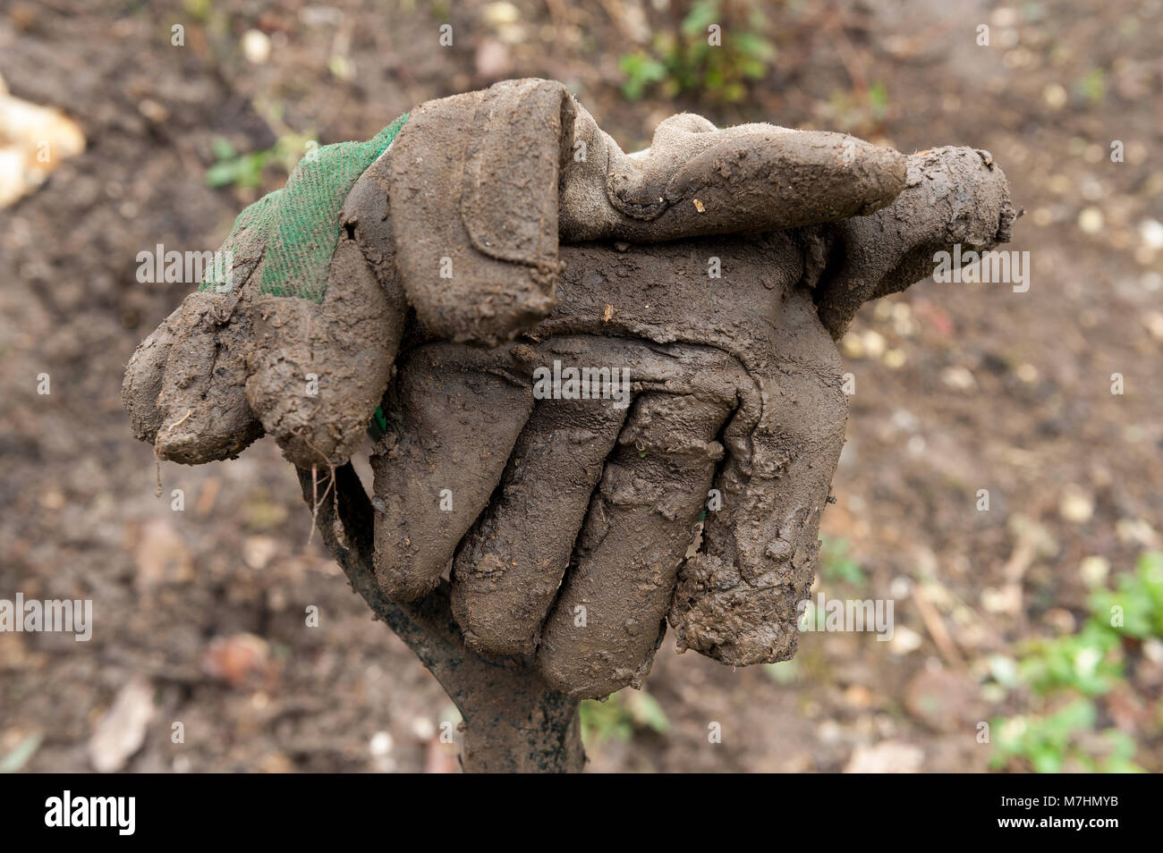Heavy clay soil garden hi-res stock photography and images - Alamy
