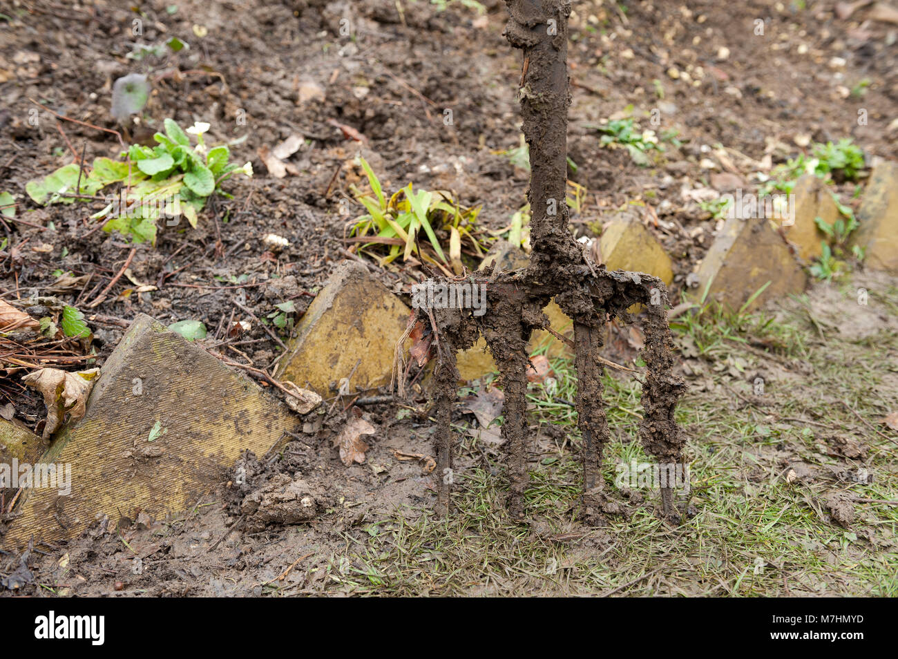 Loamy Soil Stock Photos & Loamy Soil Stock Images - Alamy