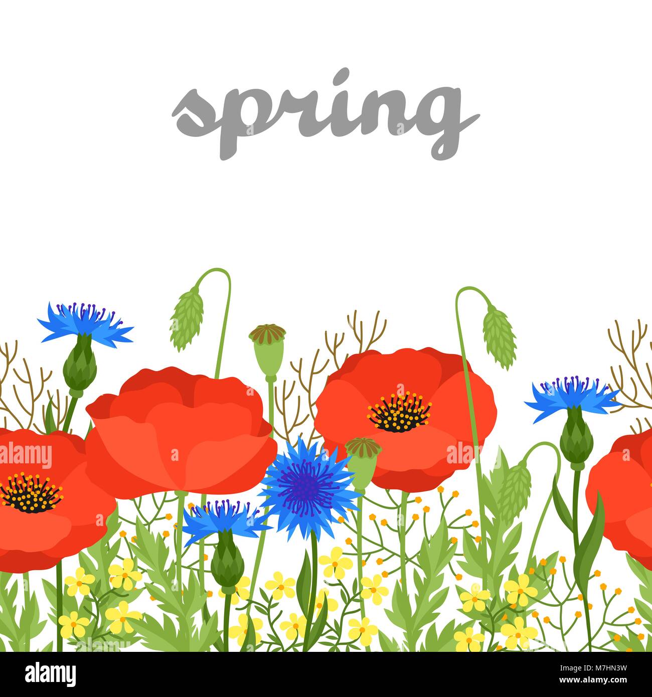 Seamless floral pattern with pretty spring flowers. Background for ...