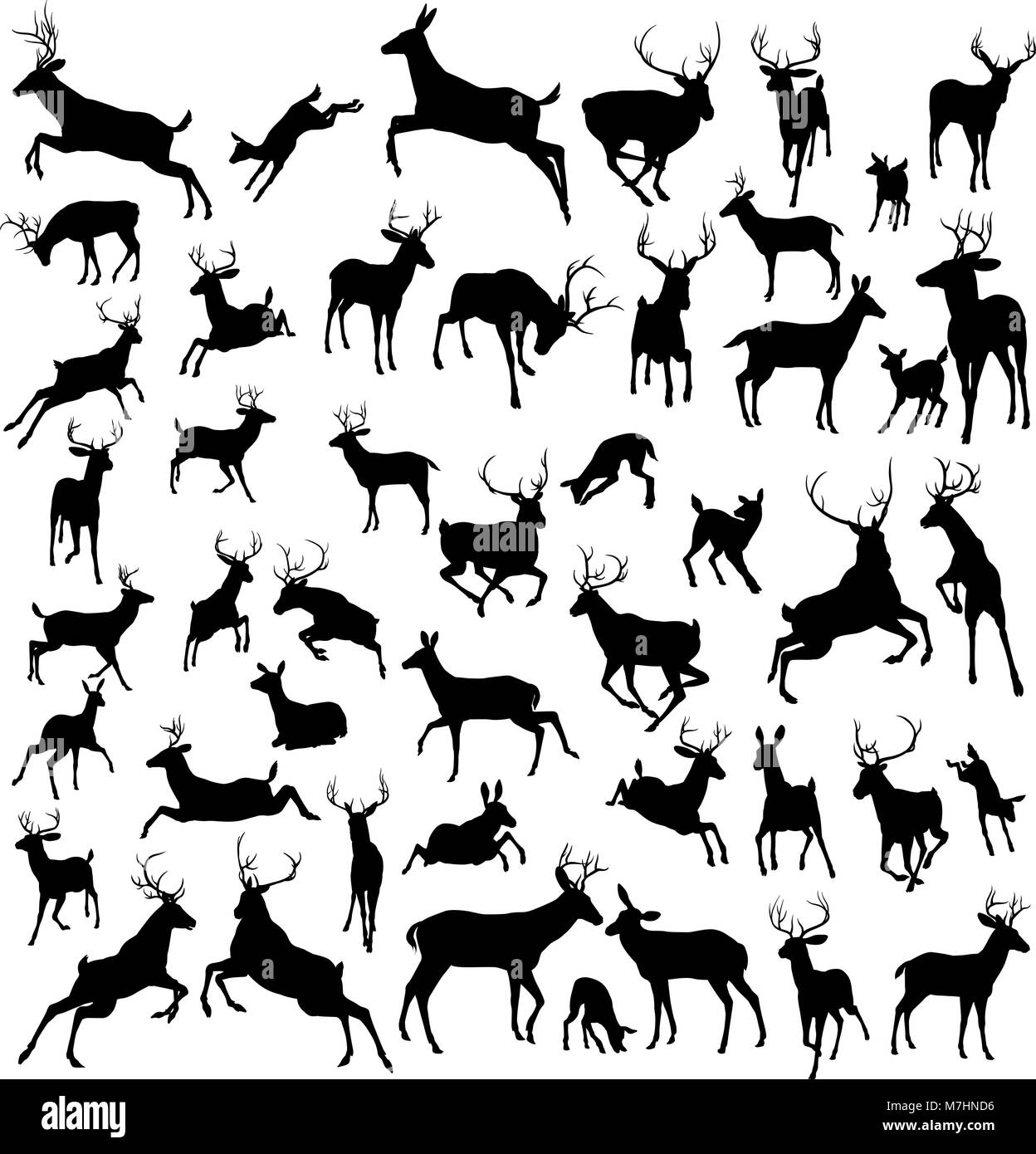 Black forest deer silhouettes hi-res stock photography and images - Alamy