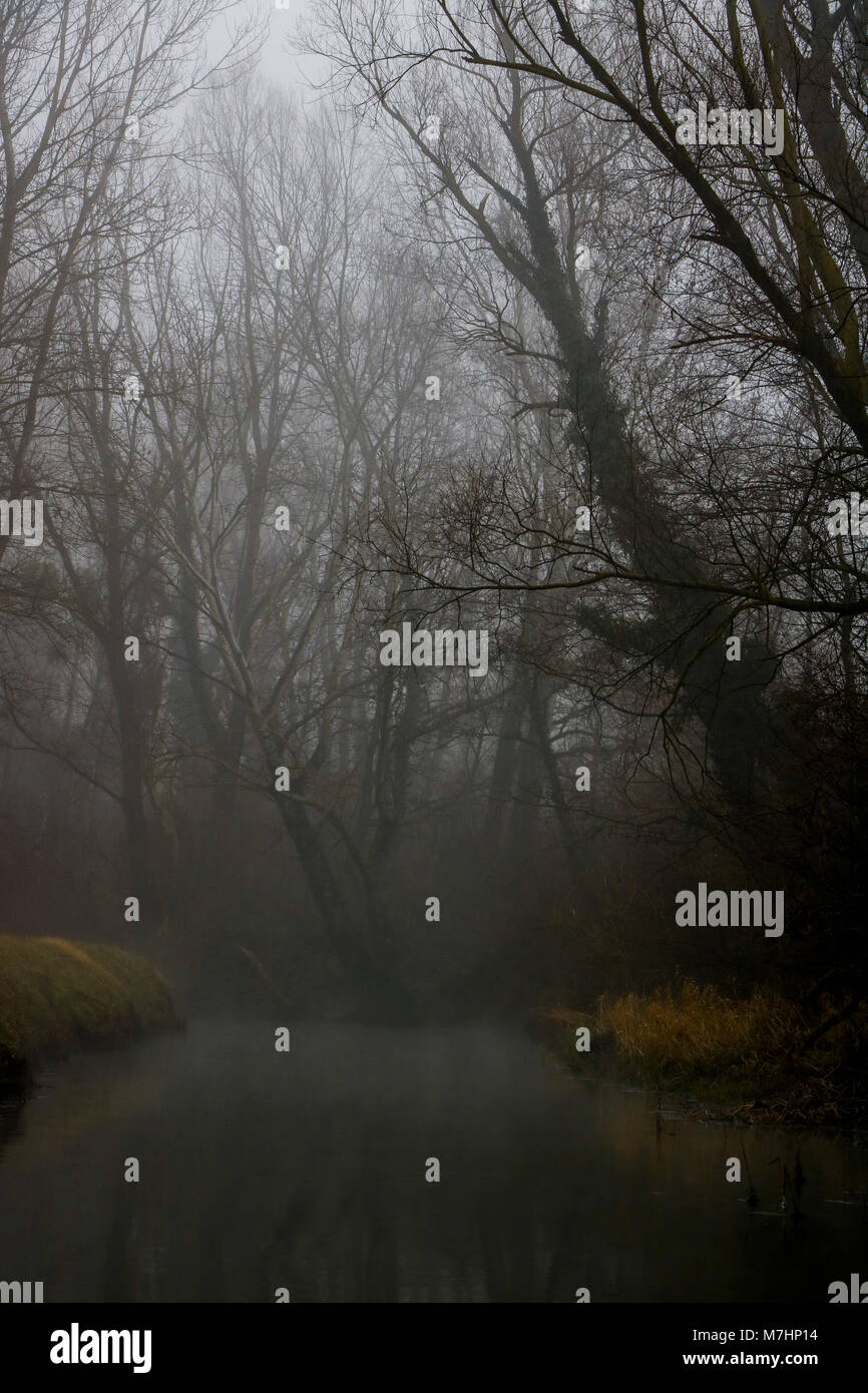 River photoshoot hi-res stock photography and images - Alamy