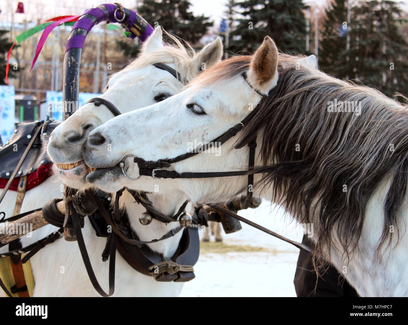 Kiss kick kiss hi-res stock photography and images - Alamy