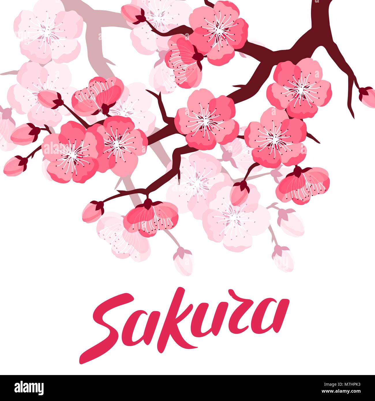 Japanese sakura background with stylized flowers. Image for holiday ...