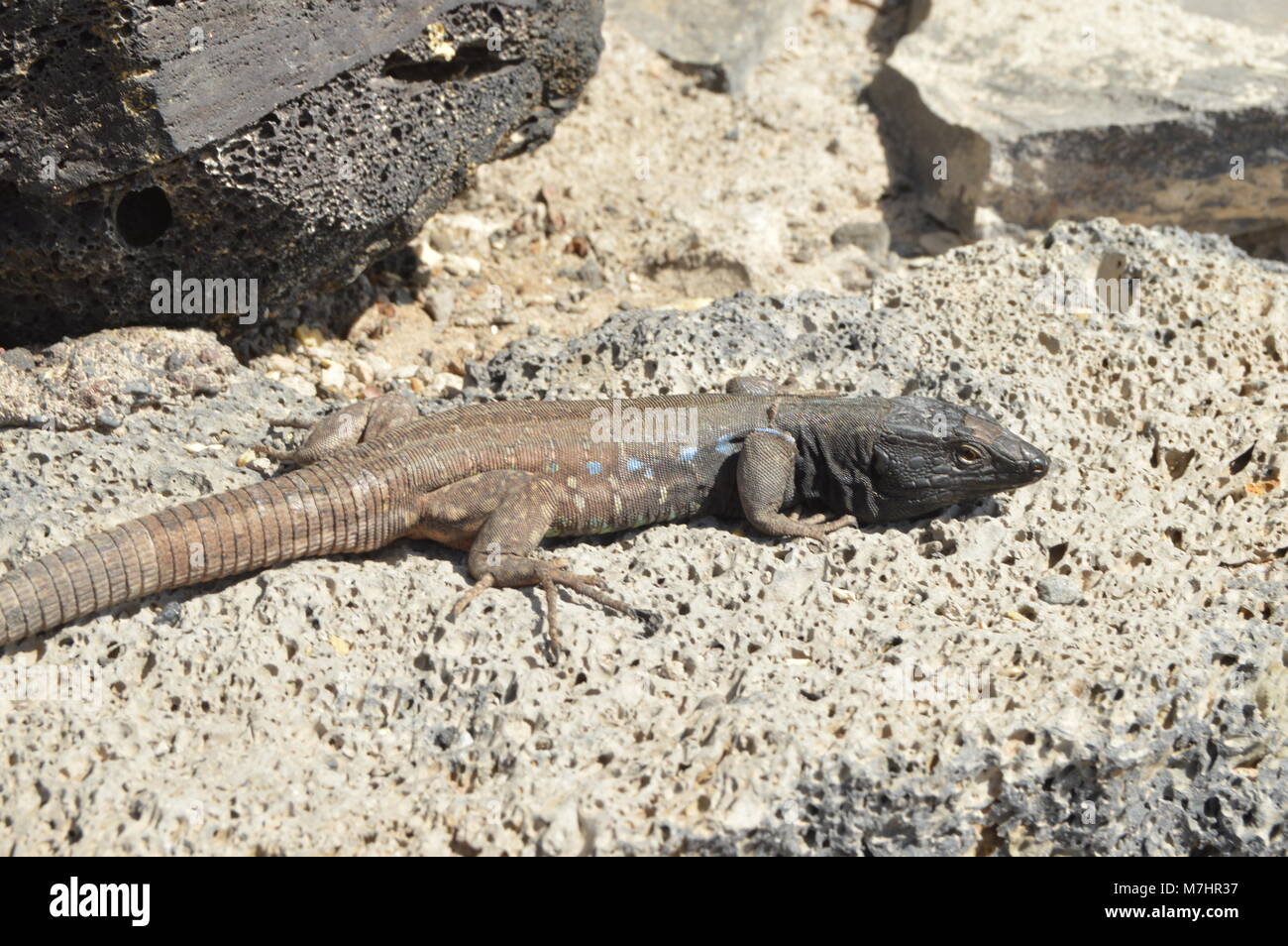 Day hot hi-res stock photography and images - Alamy