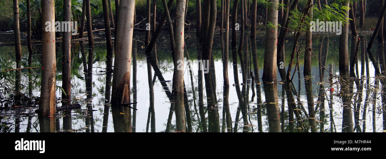 Riverside serenity hi-res stock photography and images - Alamy