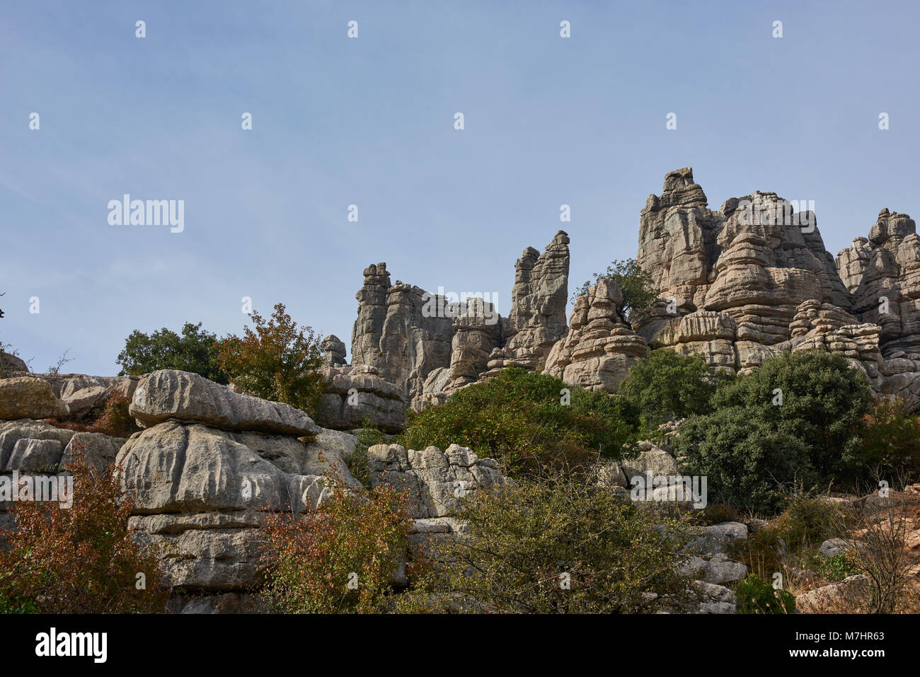 Some of the many intricate and varied Limestone rock formations seen in ...