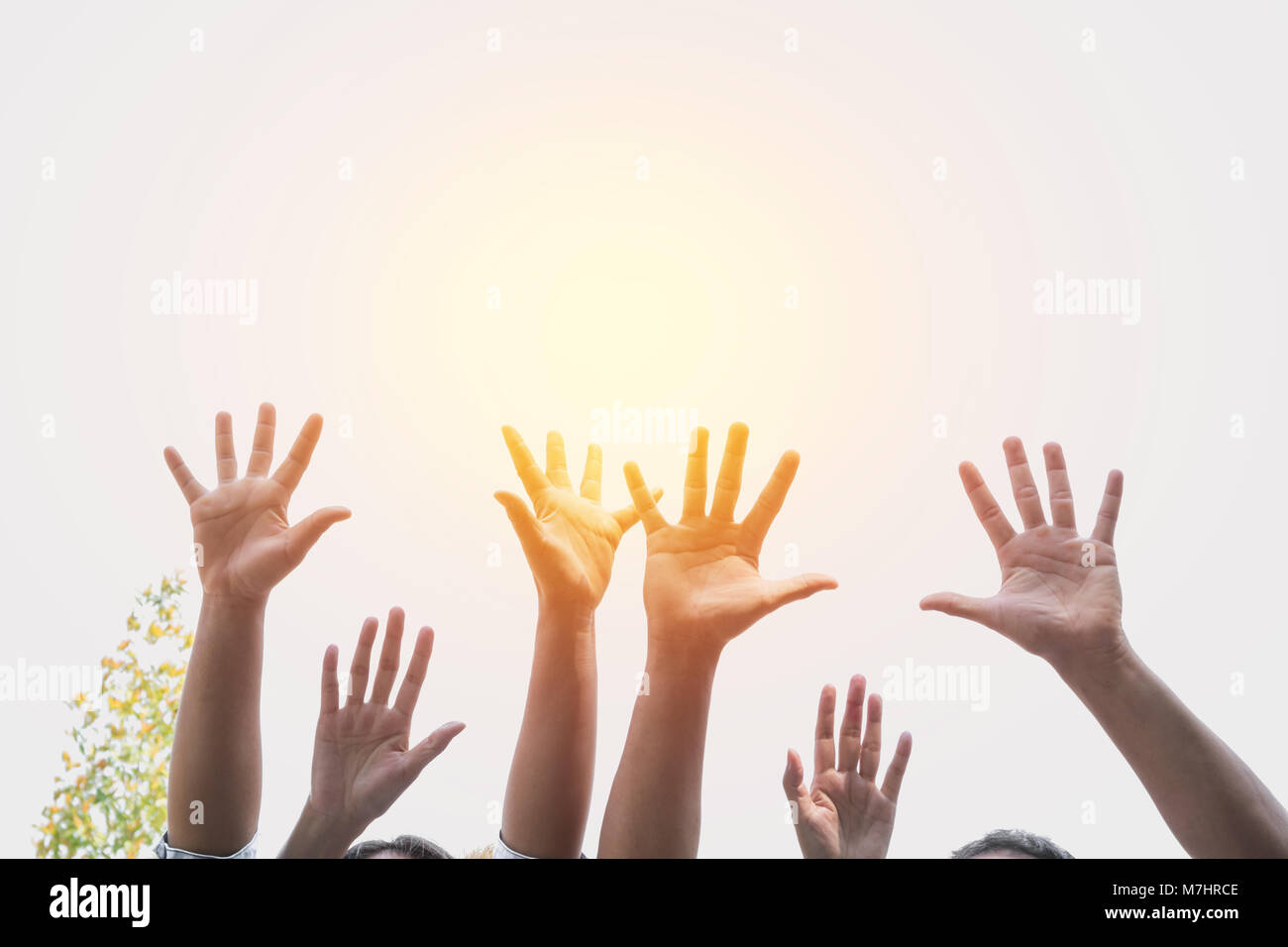 Fight Power Hand Raised Clenched Stock Photos & Fight Power Hand Raised ...