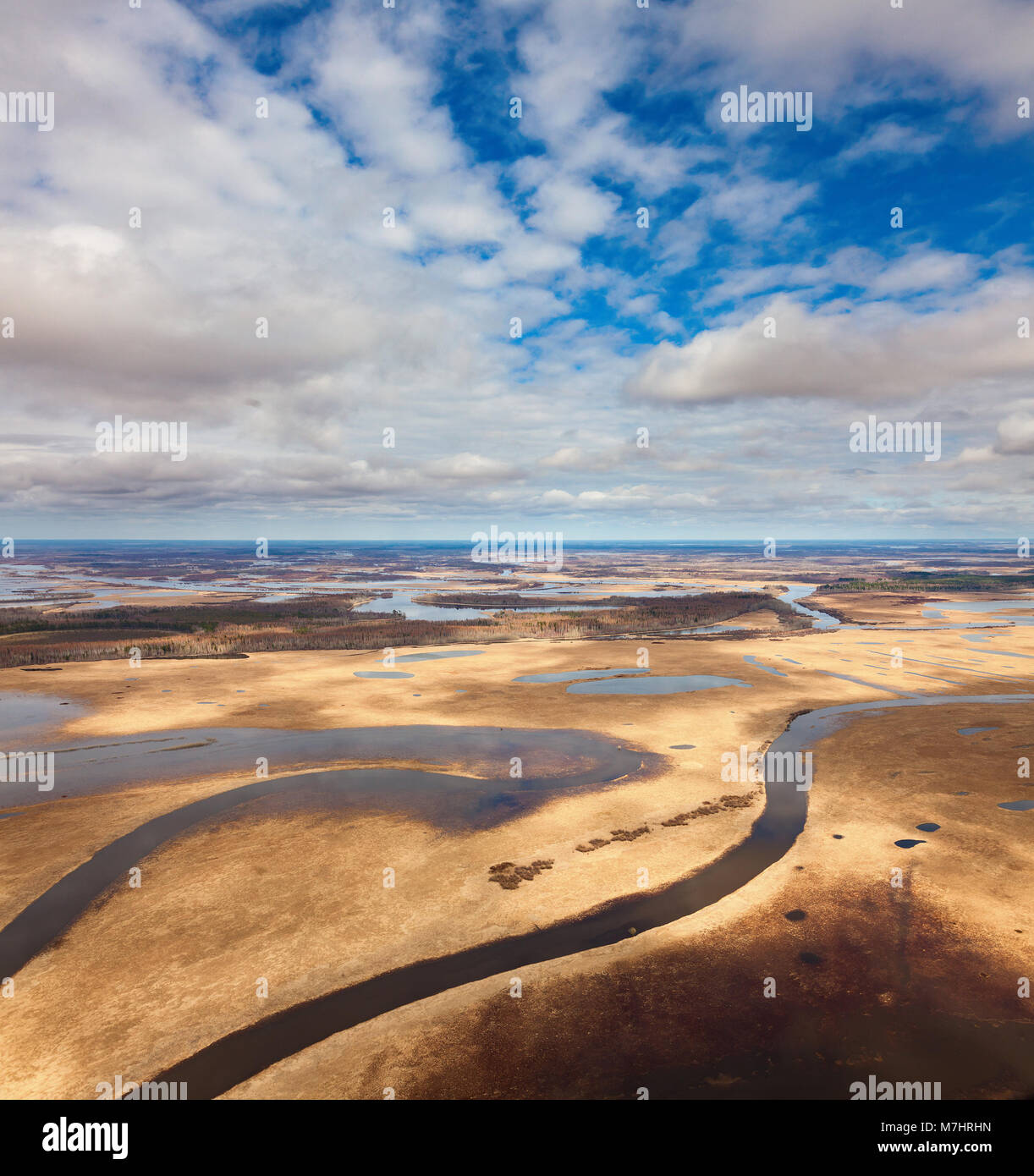 Forest river in spring, top view Stock Photo - Alamy