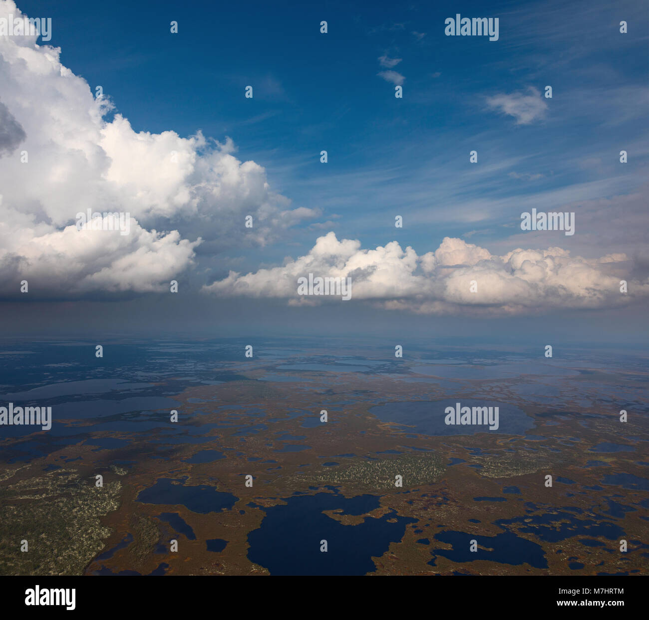 Clouds above the swamp, top view Stock Photo - Alamy
