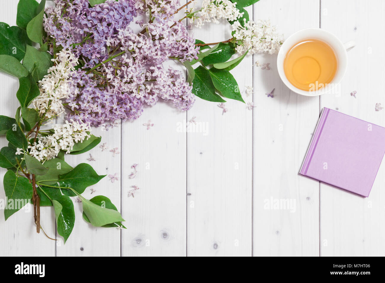 Mock up book hi-res stock photography and images - Alamy