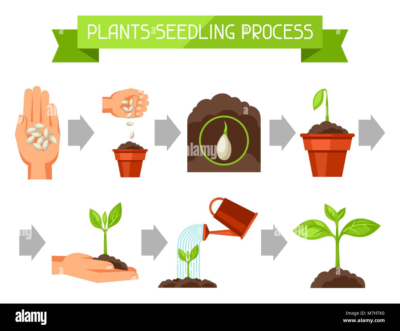 Seedling Stock Vector Images - Alamy