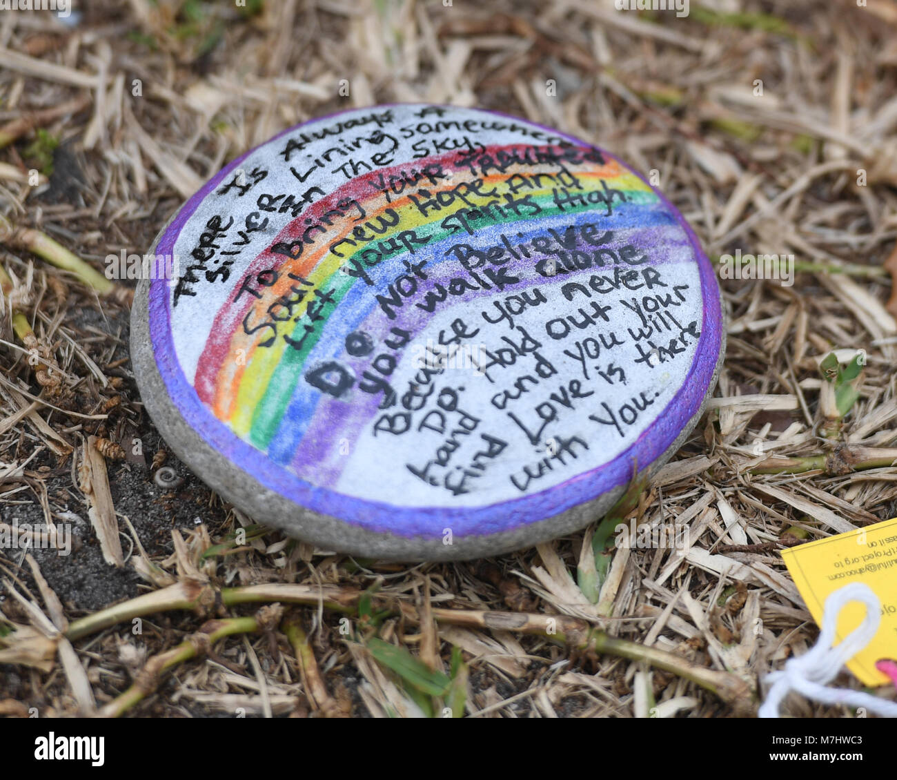 Usa high school parkland not shooting hi-res stock photography and ...