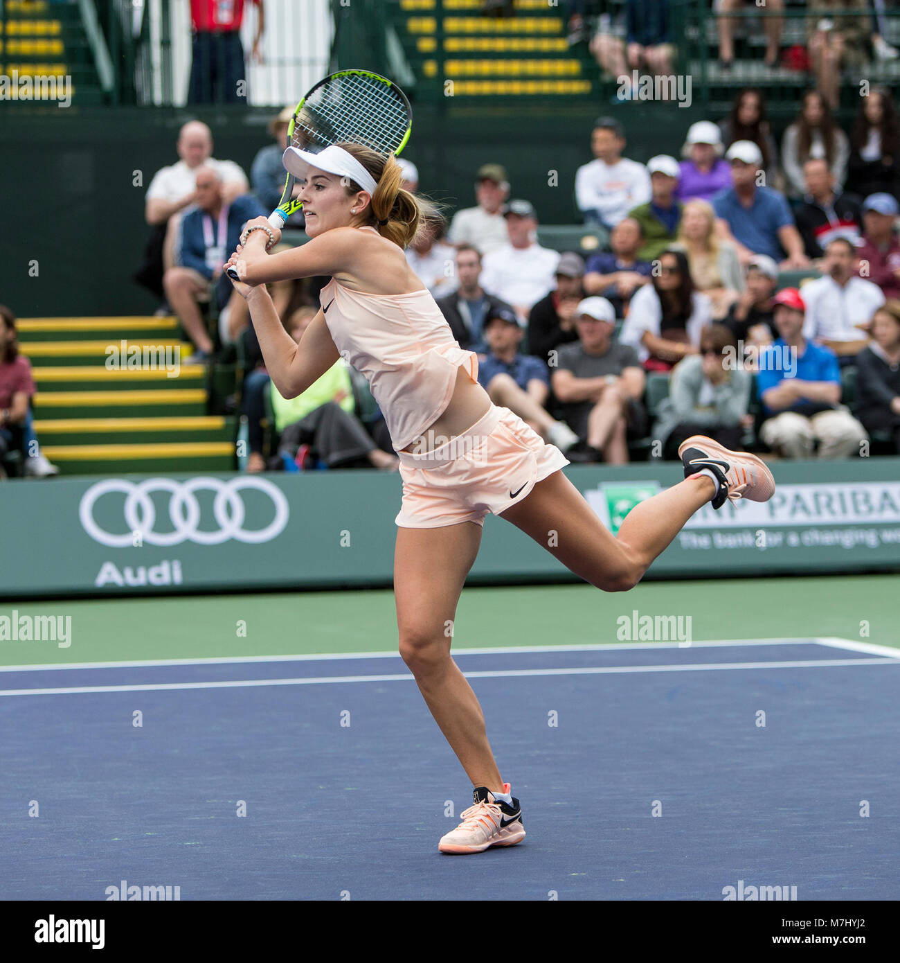 Cici bellis hi-res stock photography and images - Alamy