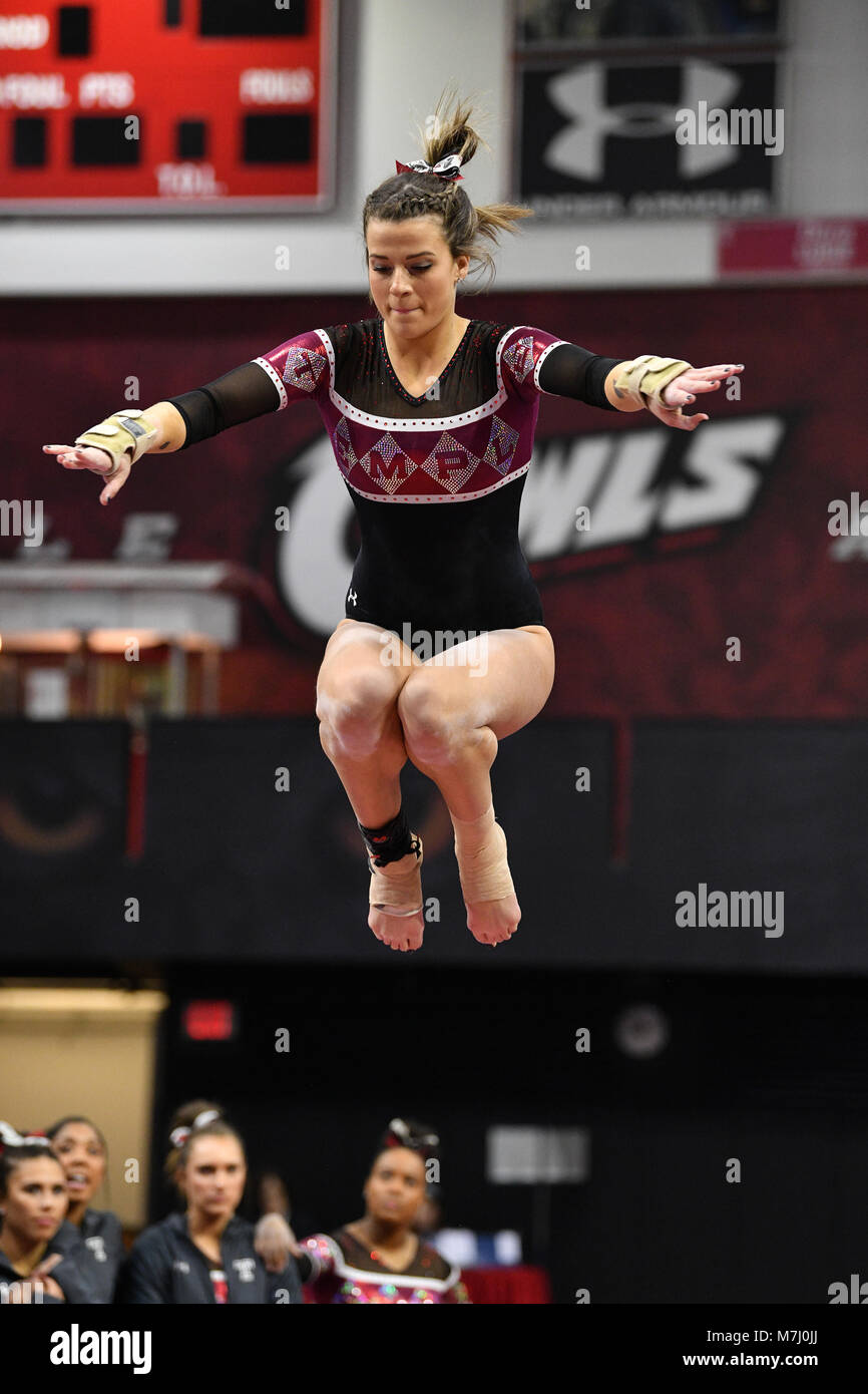 Philadelphia daisy hi-res stock photography and images - Alamy