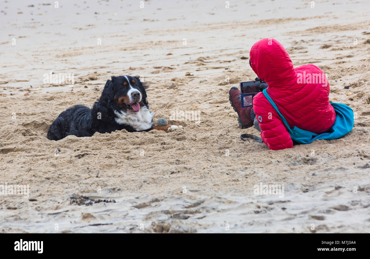 Taking photograph of dog at beach hi-res stock photography and images ...