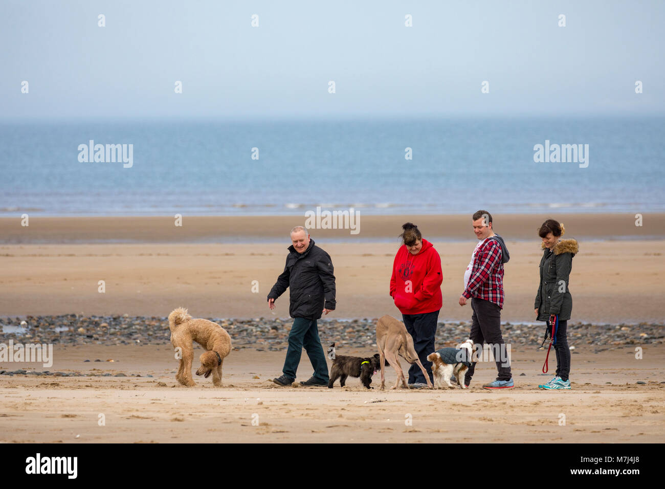 Dog owners on a beach hi-res stock photography and images - Alamy