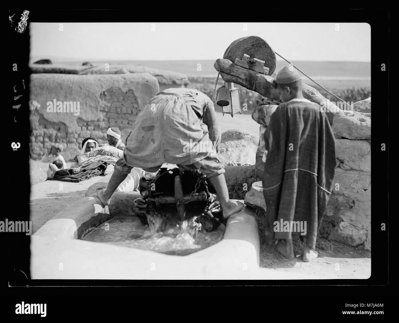 The image depicts the method of drawing water using camel and cow power ...