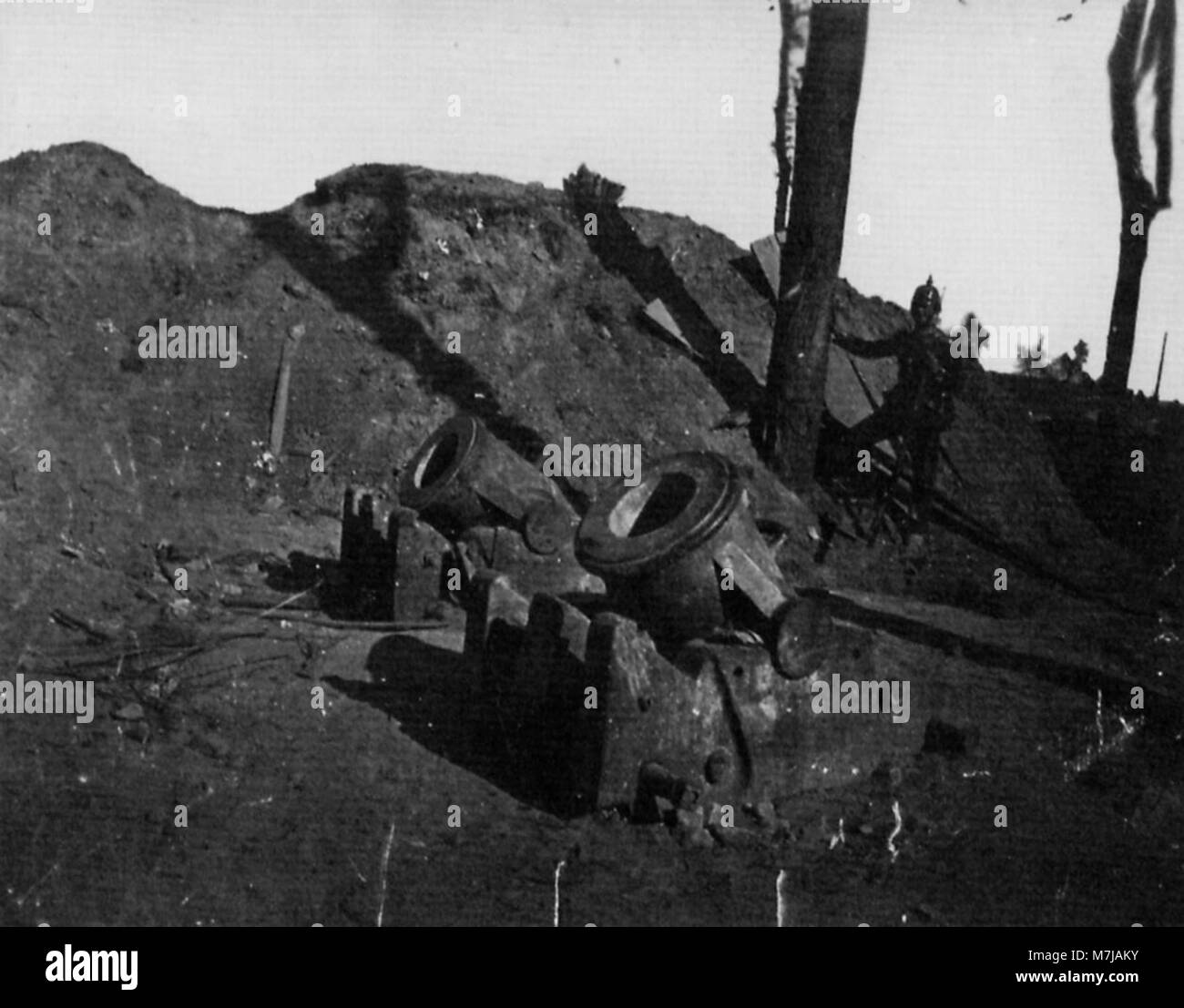 A photograph showing French mortar batteries, capturing the military ...