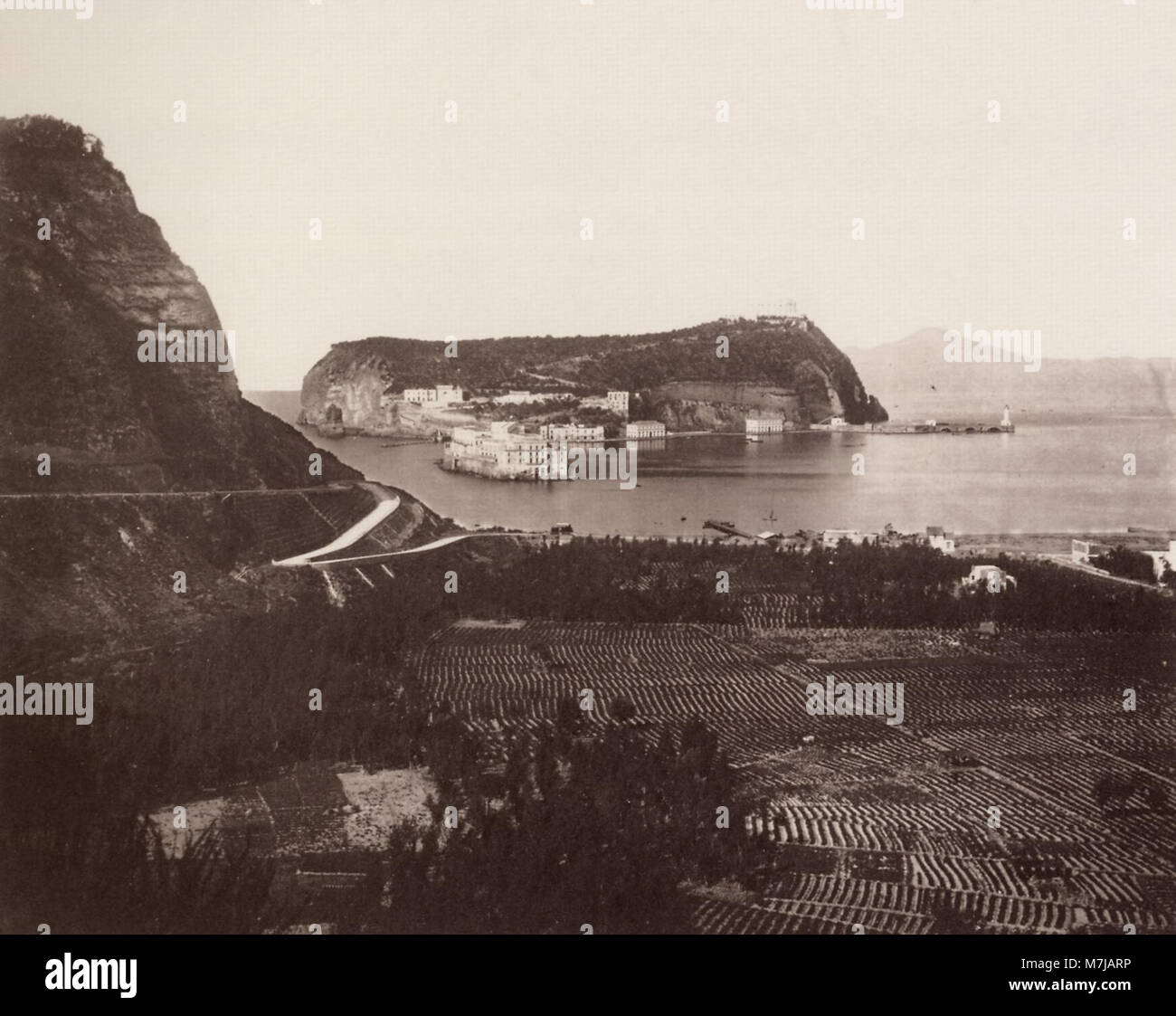 A photograph by Giorgio Sommer of Nisida, an island in the Bay of ...