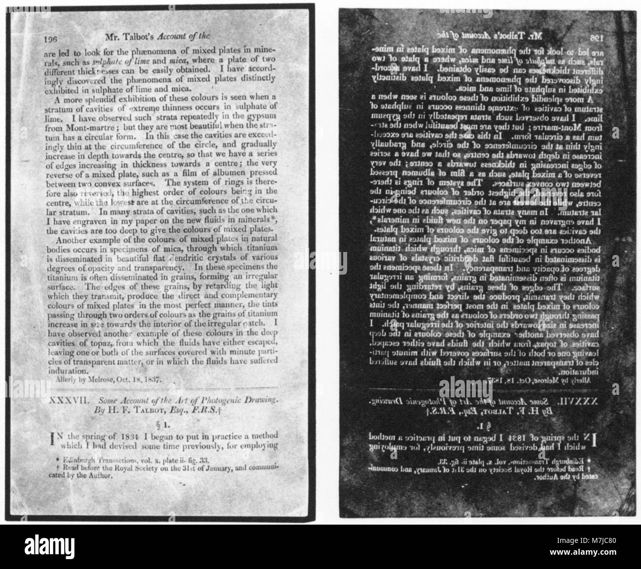 This image features both a positive and negative print of a photograph ...