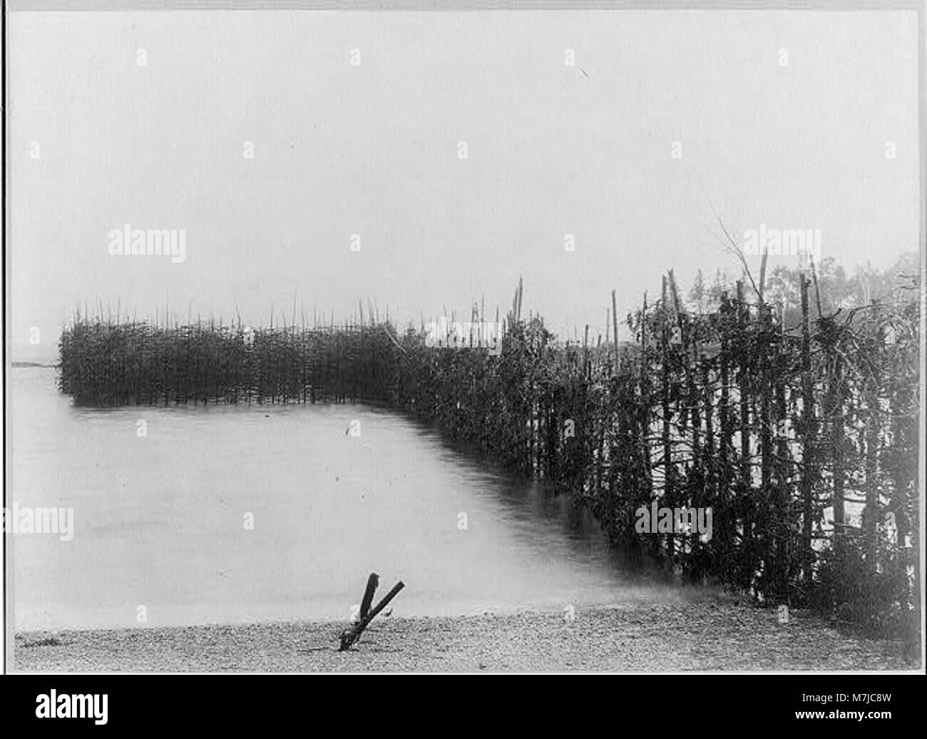 This image depicts a fish weir located on Pickering Island. The weir, a ...