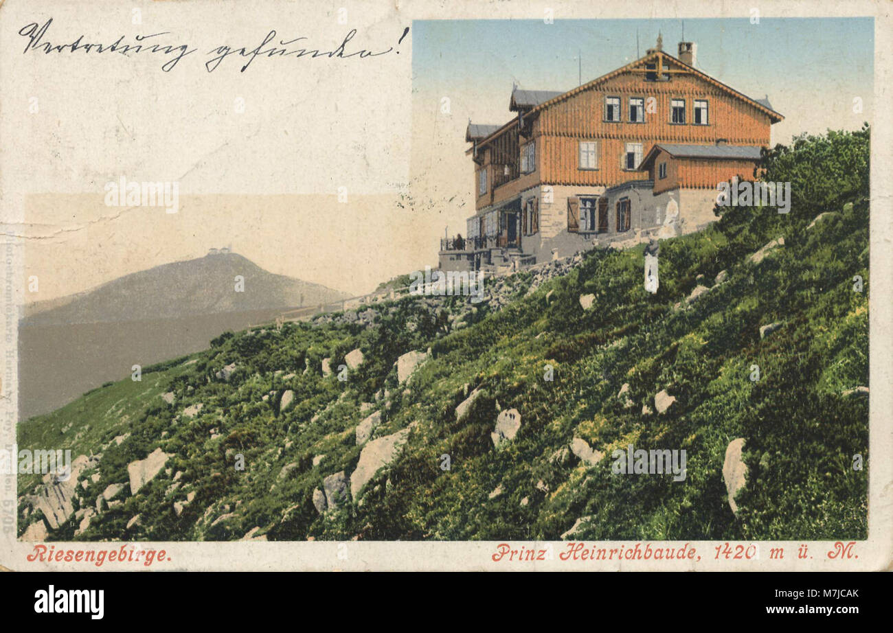 This postcard shows Tannwald, located in Schlesien, featuring the Prinz ...