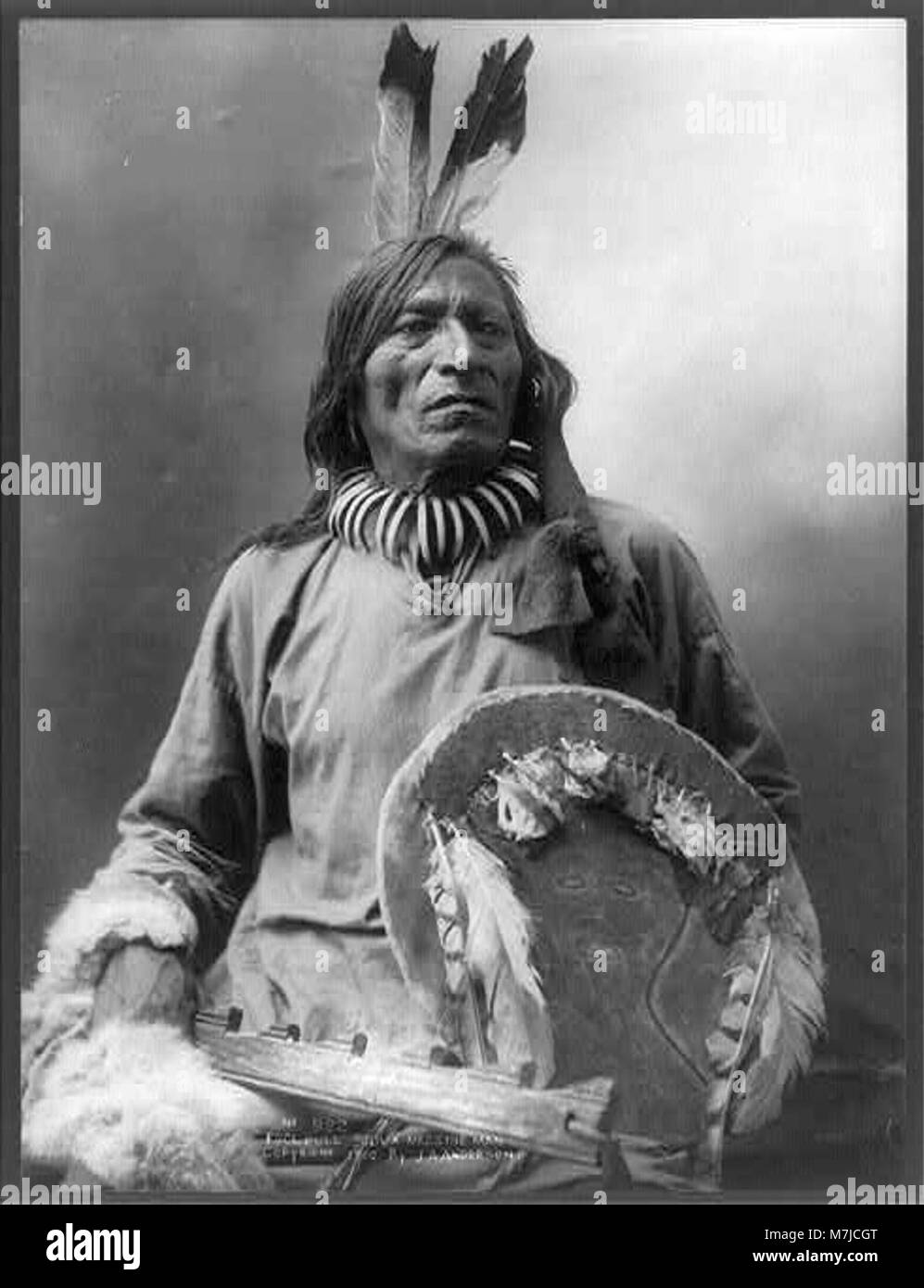 A portrait of Fool Bull, a Native American individual from the Plains ...
