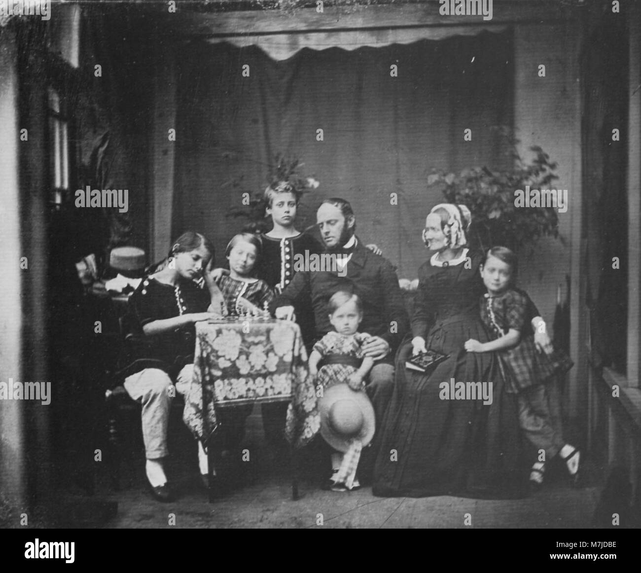 Hahn family hi-res stock photography and images - Alamy