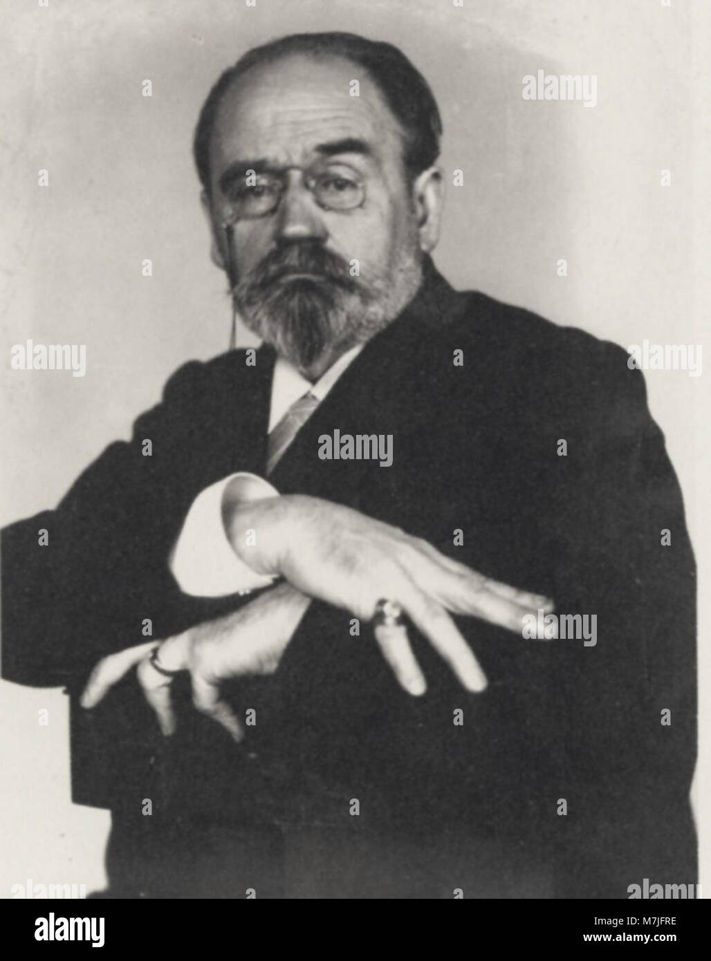 Zola, Francois Emile - Zola (3) (Zeno Fotografie Stock Photo - Alamy