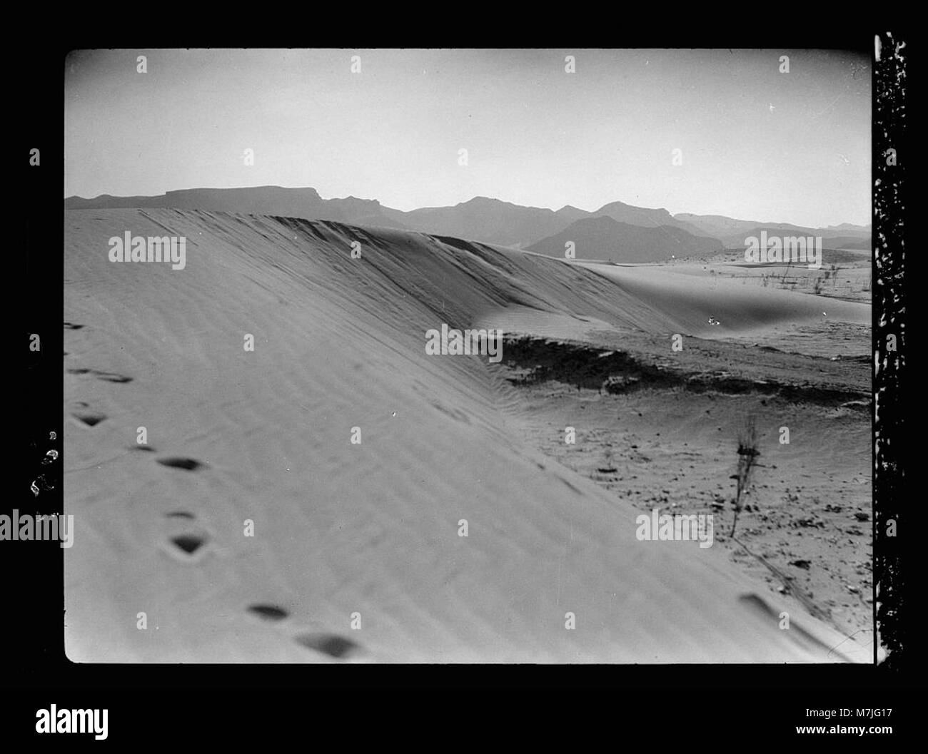 A photograph capturing the challenges faced in Egyptian agriculture ...