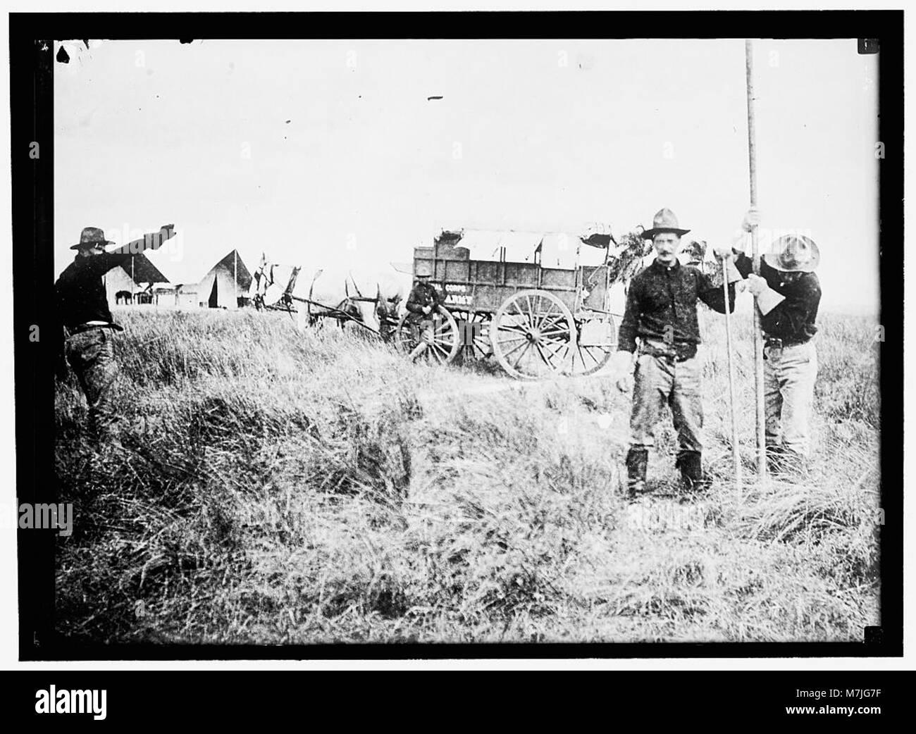 A photograph showing the U.S. Signal Corps constructing communication ...