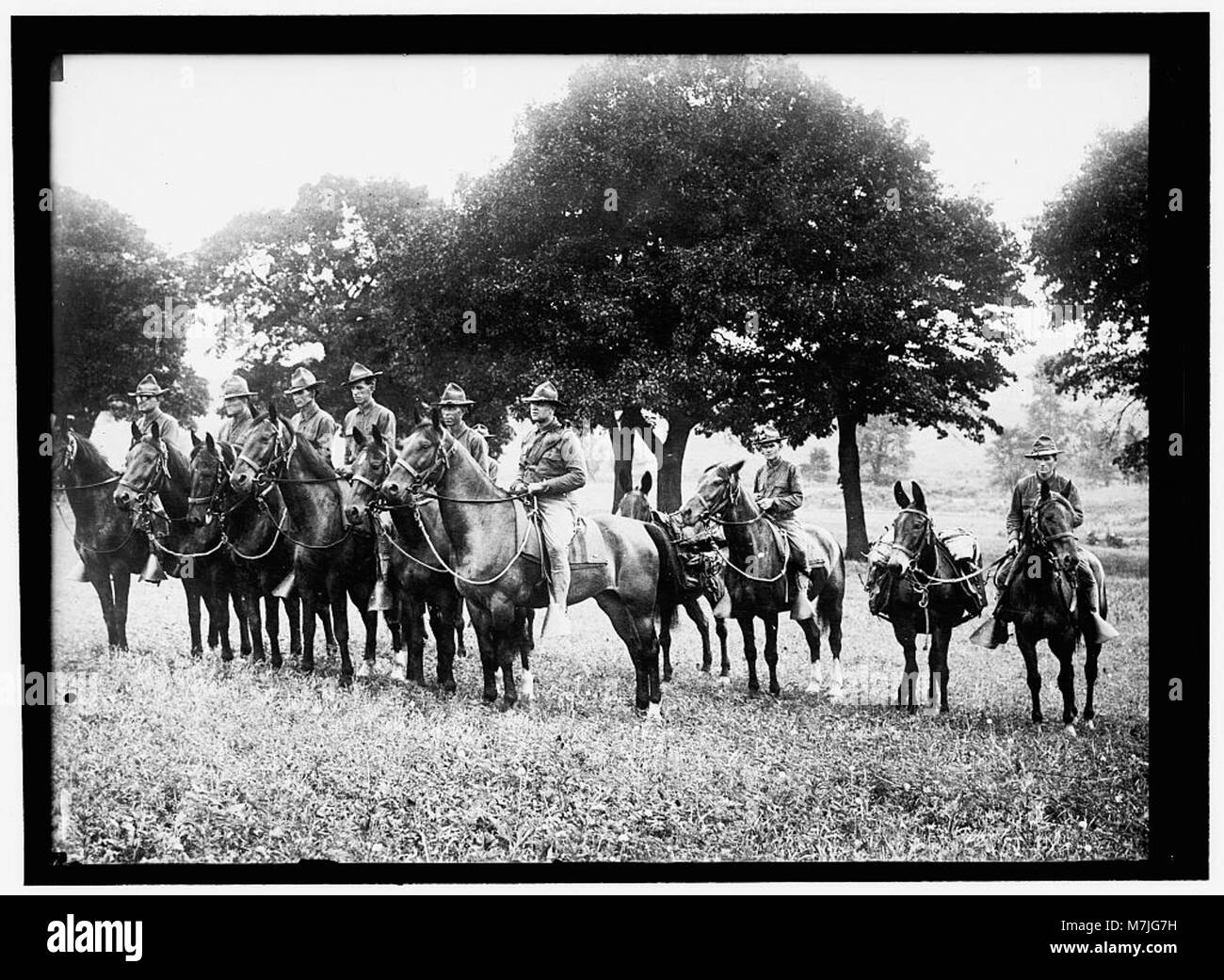 U.S. Army Signal Corps personnel constructing telecommunication lines ...