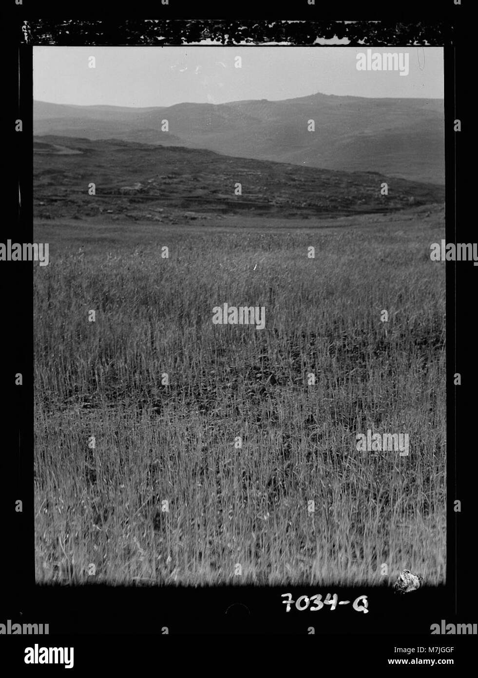 Photograph of Bethany, a site of historical and biblical significance ...