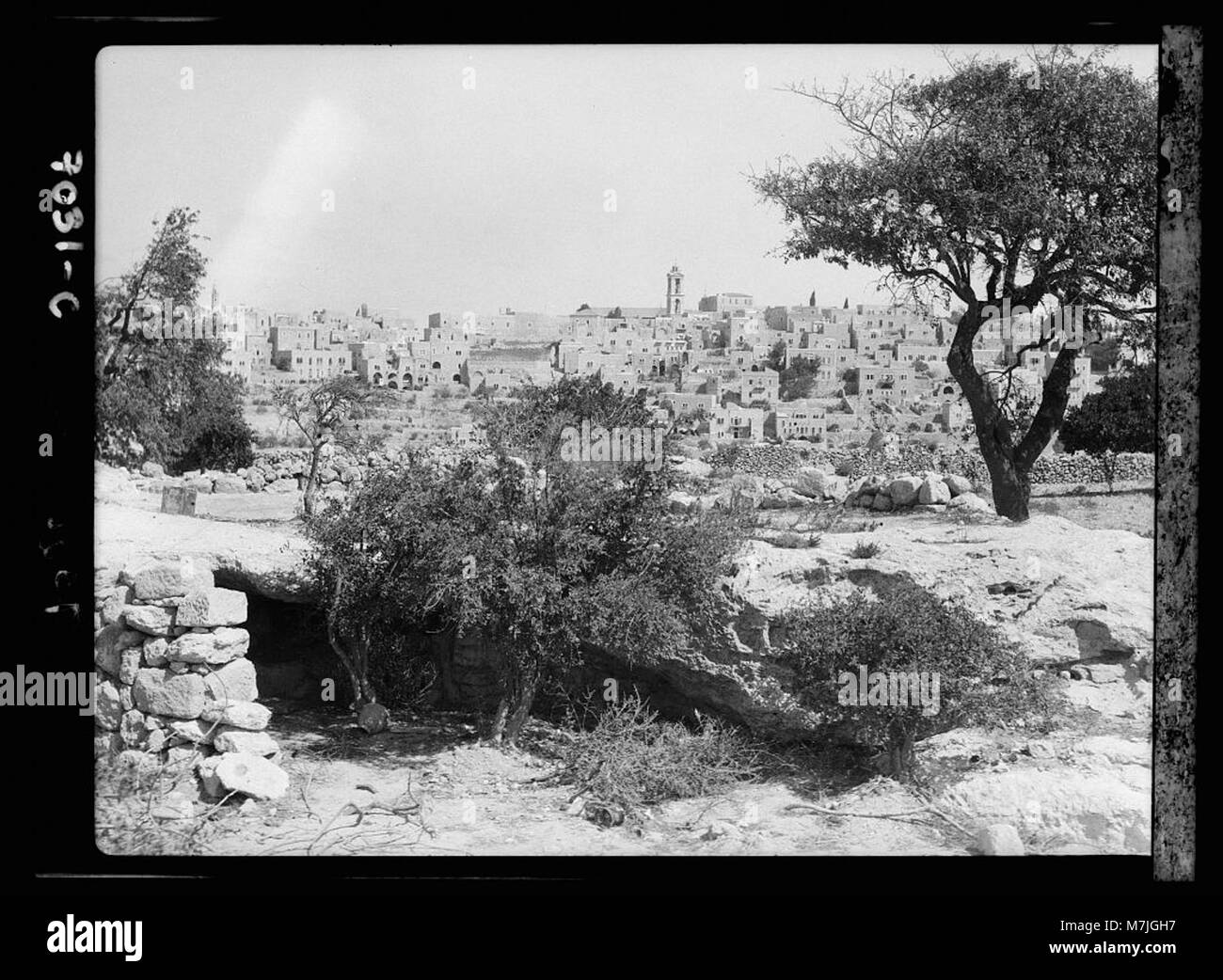 Photograph of the Shepherd's Fields in Bethlehem, capturing scenes ...