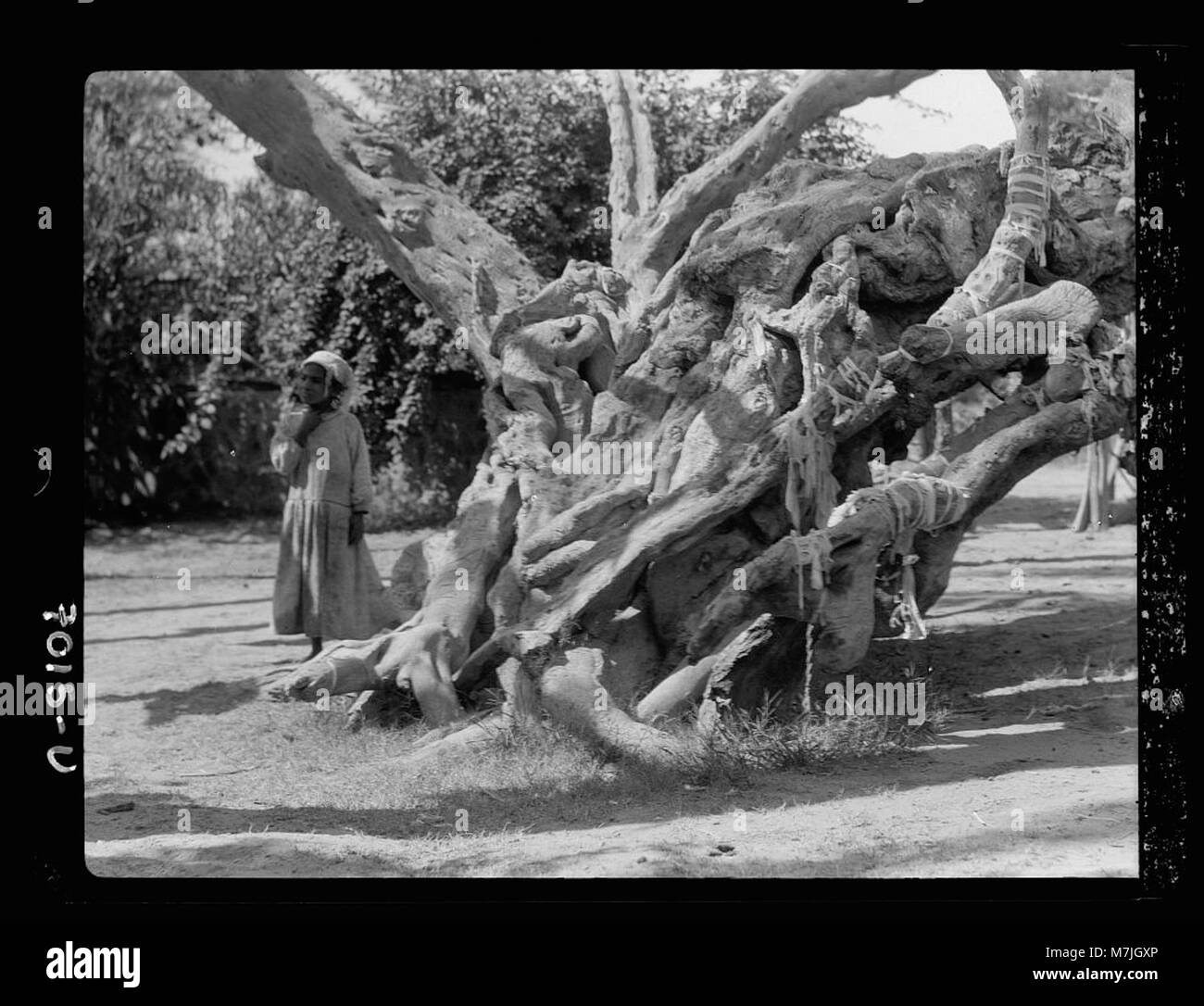 Cairo, Egypt, a historic city known for its ancient monuments such as ...