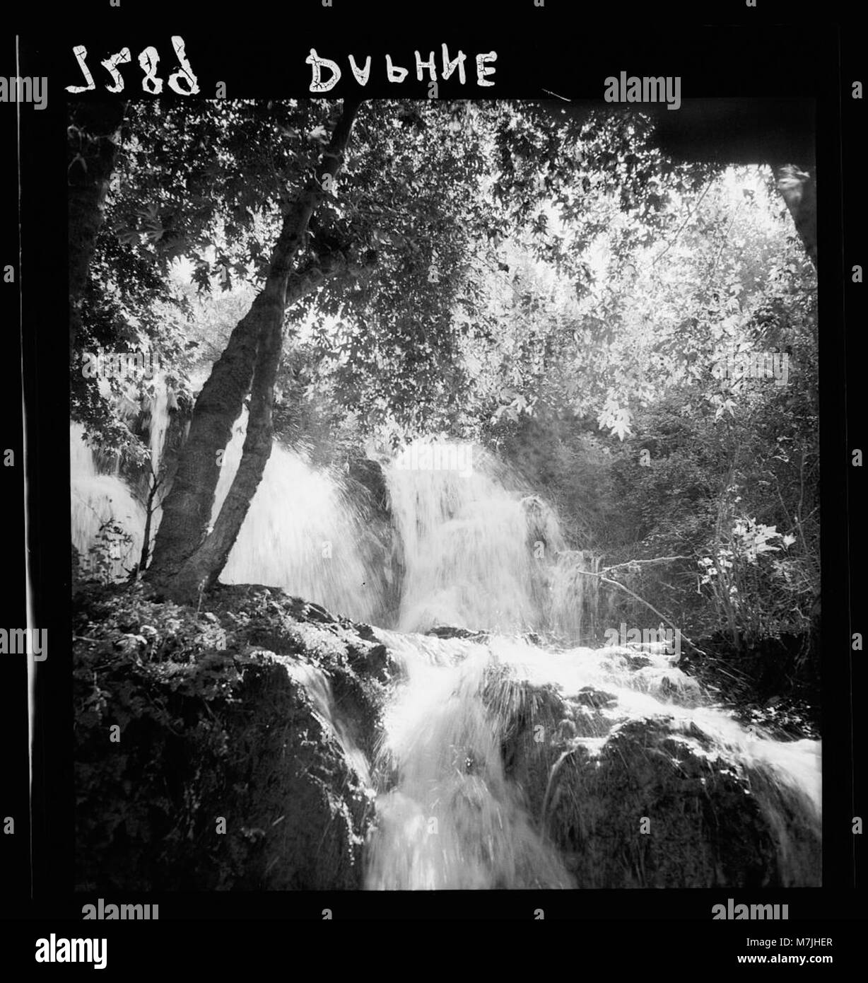Photograph of the Daphne waterfalls, capturing the natural beauty of ...