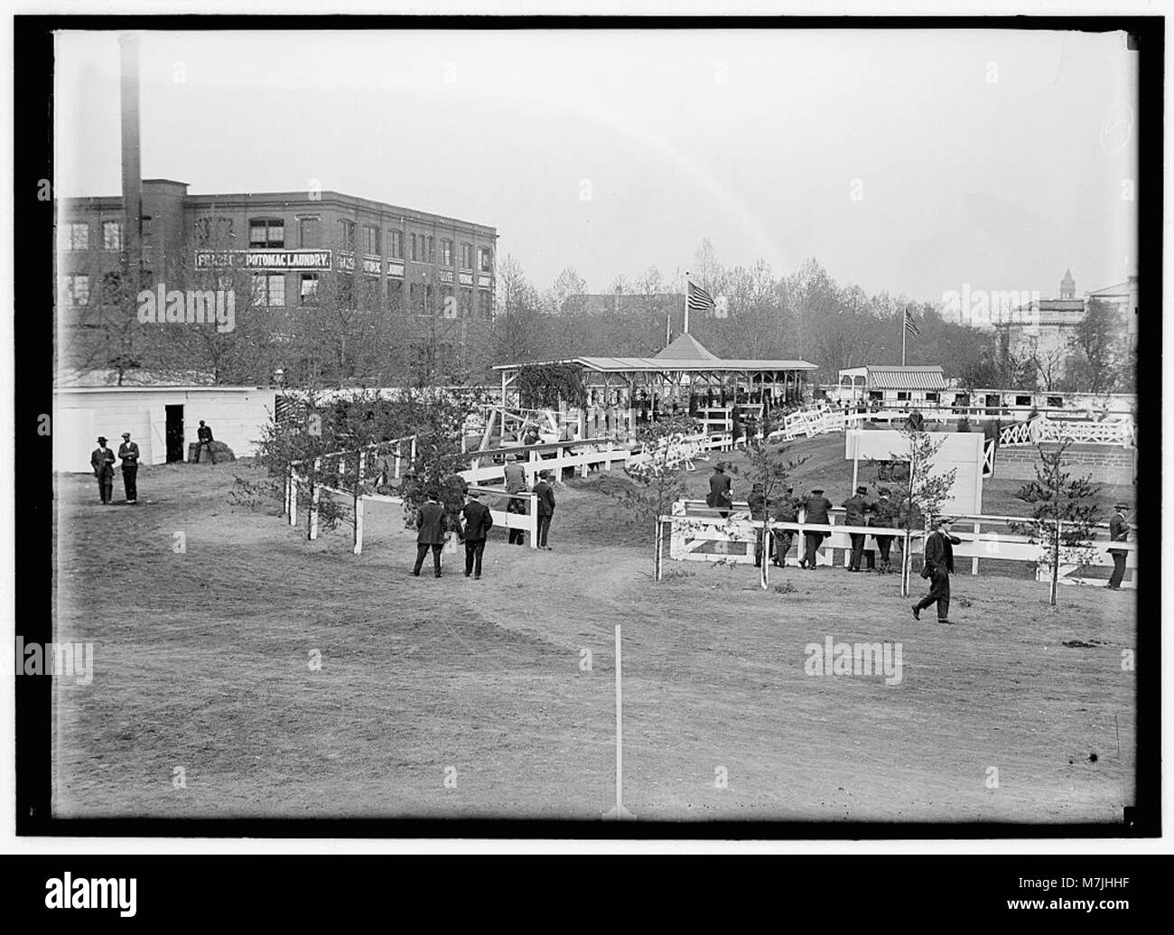 A general view of horse shows, capturing the excitement and elegance of ...
