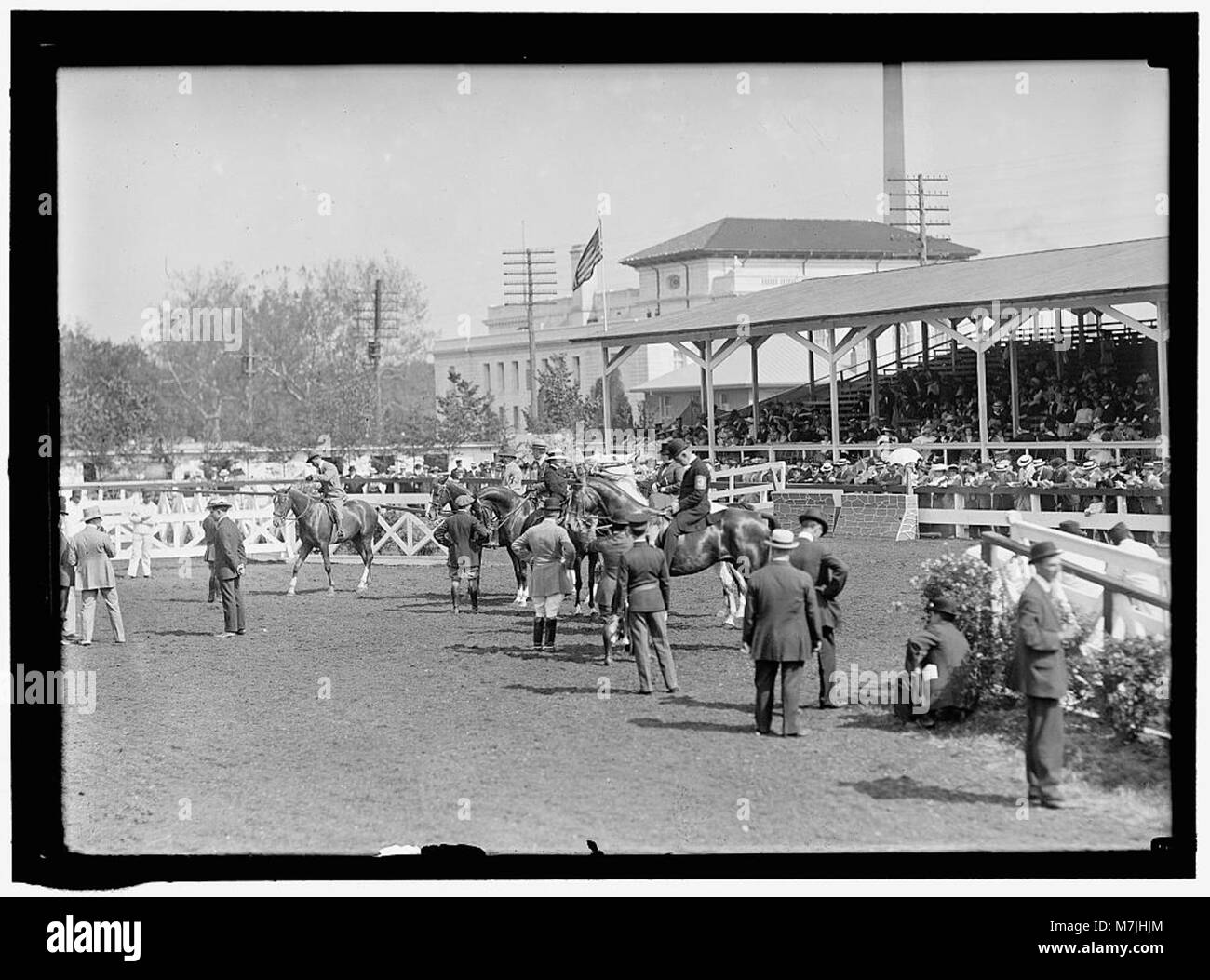 A general view of the Washington Horse Show, showcasing various horse ...