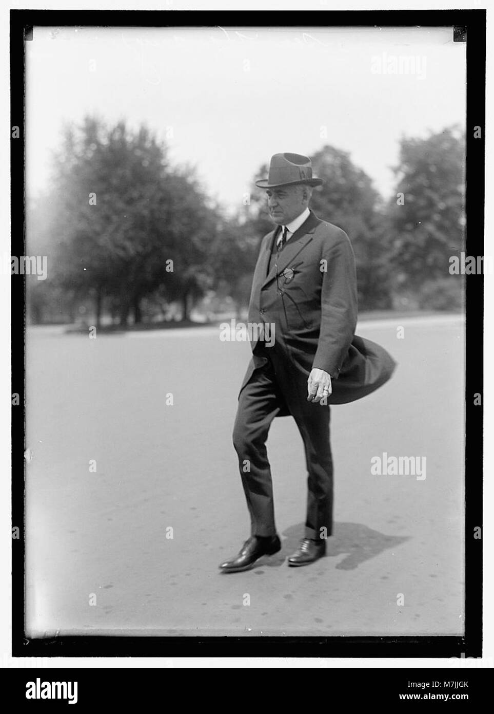 Portrait of Warren G. Harding, U.S. Senator from Ohio (1915-1921) and ...