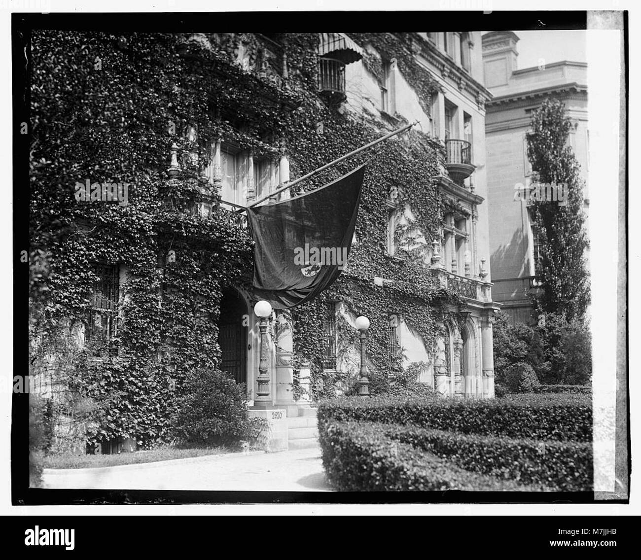 This photograph shows the funeral procession for President Warren G ...