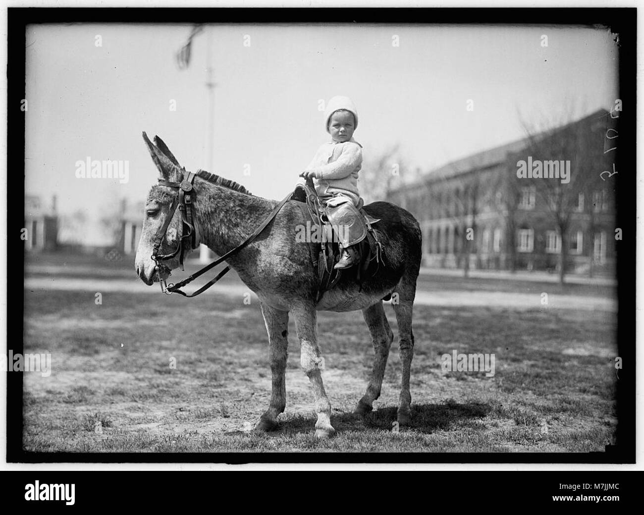 This image shows an infant named John Hodges riding a donkey at ...