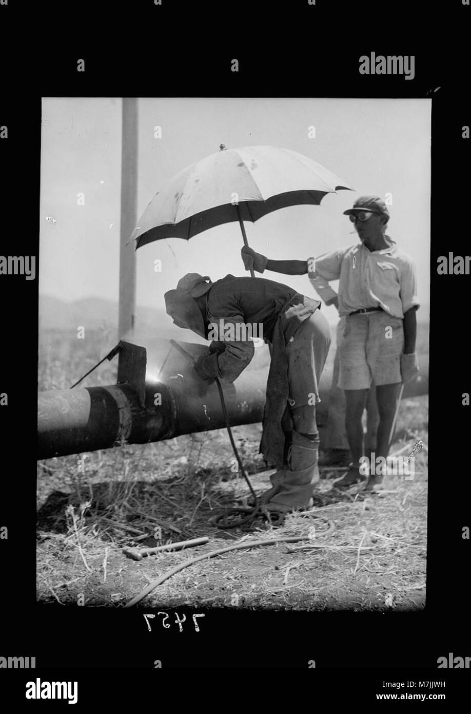 I.P.C. (i.e., Iraq Petroleum Company). Welding pipes together, on ...