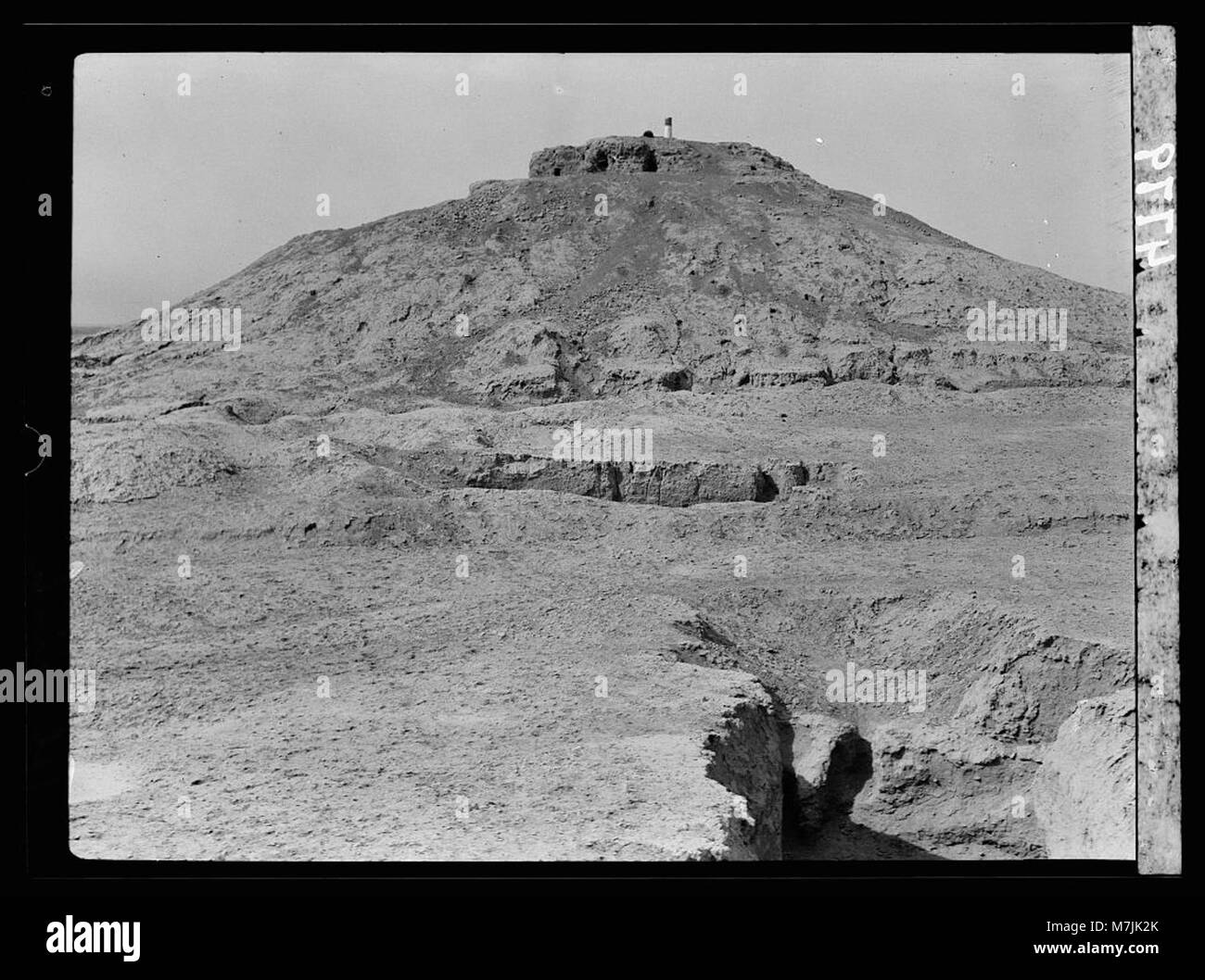 Sumer in the city hi-res stock photography and images - Alamy